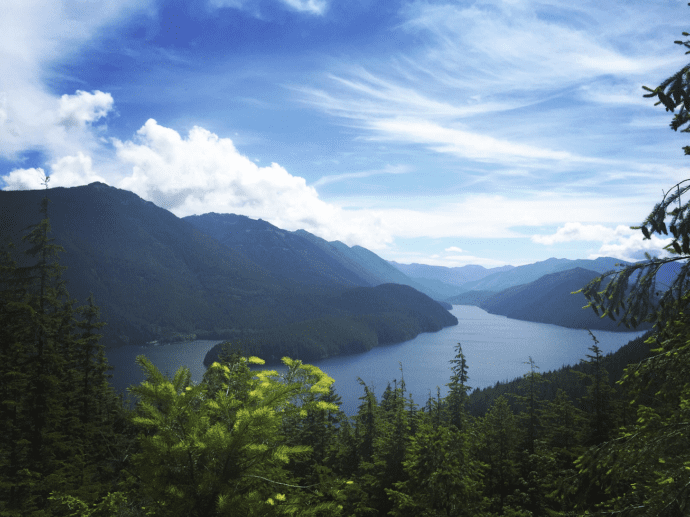 SPU Welcomes New Customer Review Panel - At Your Service