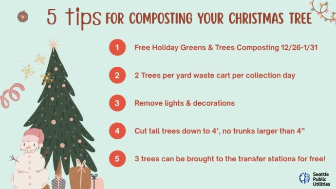 Give Your Christmas Tree a Second Life: Compost It for Free This ...